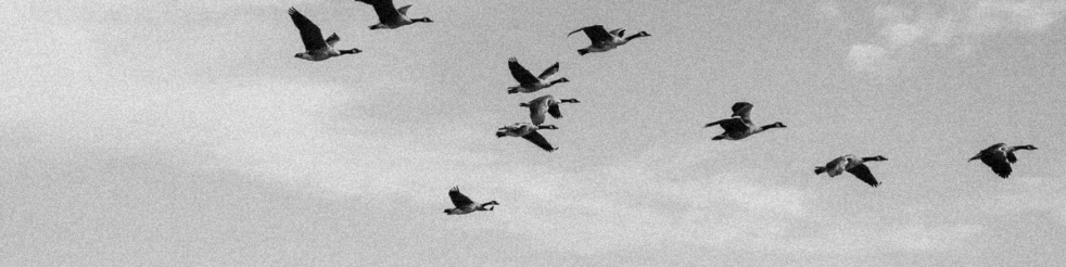 FAS Annual Report 2023 - Federation of American Scientists