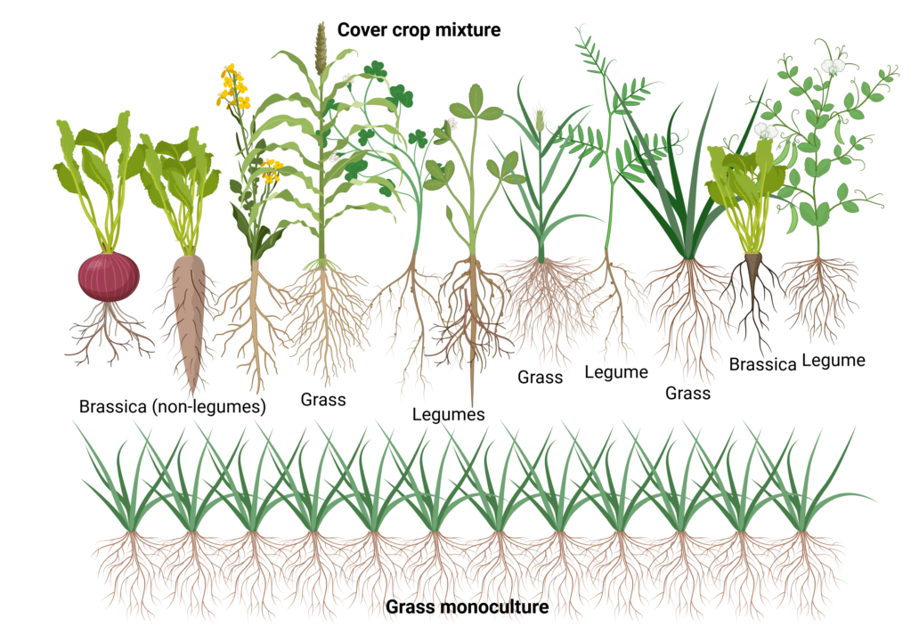 Soil and Water: Why We Need Conservation Agriculture